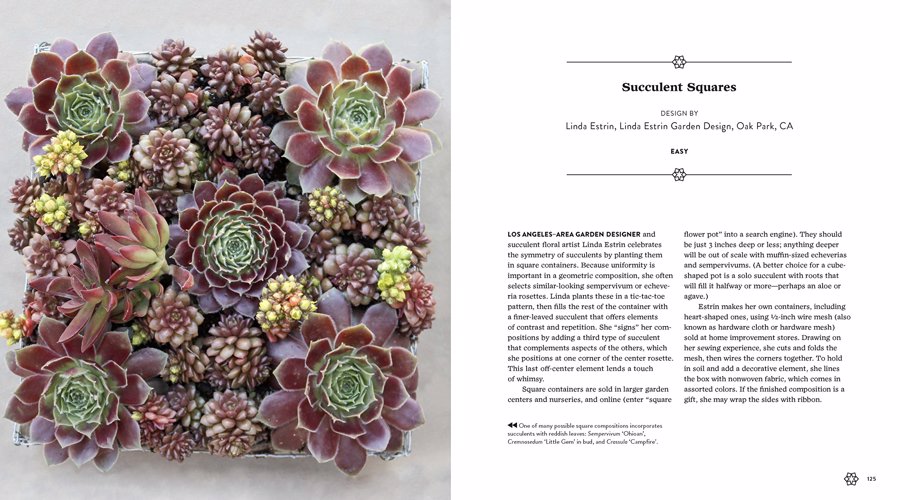 Succulents Simplified Book | Expertly Chosen Gifts