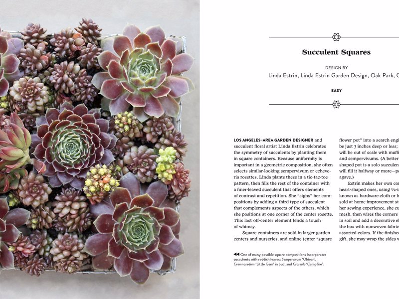 Succulents Simplified Book | Expertly Chosen Gifts